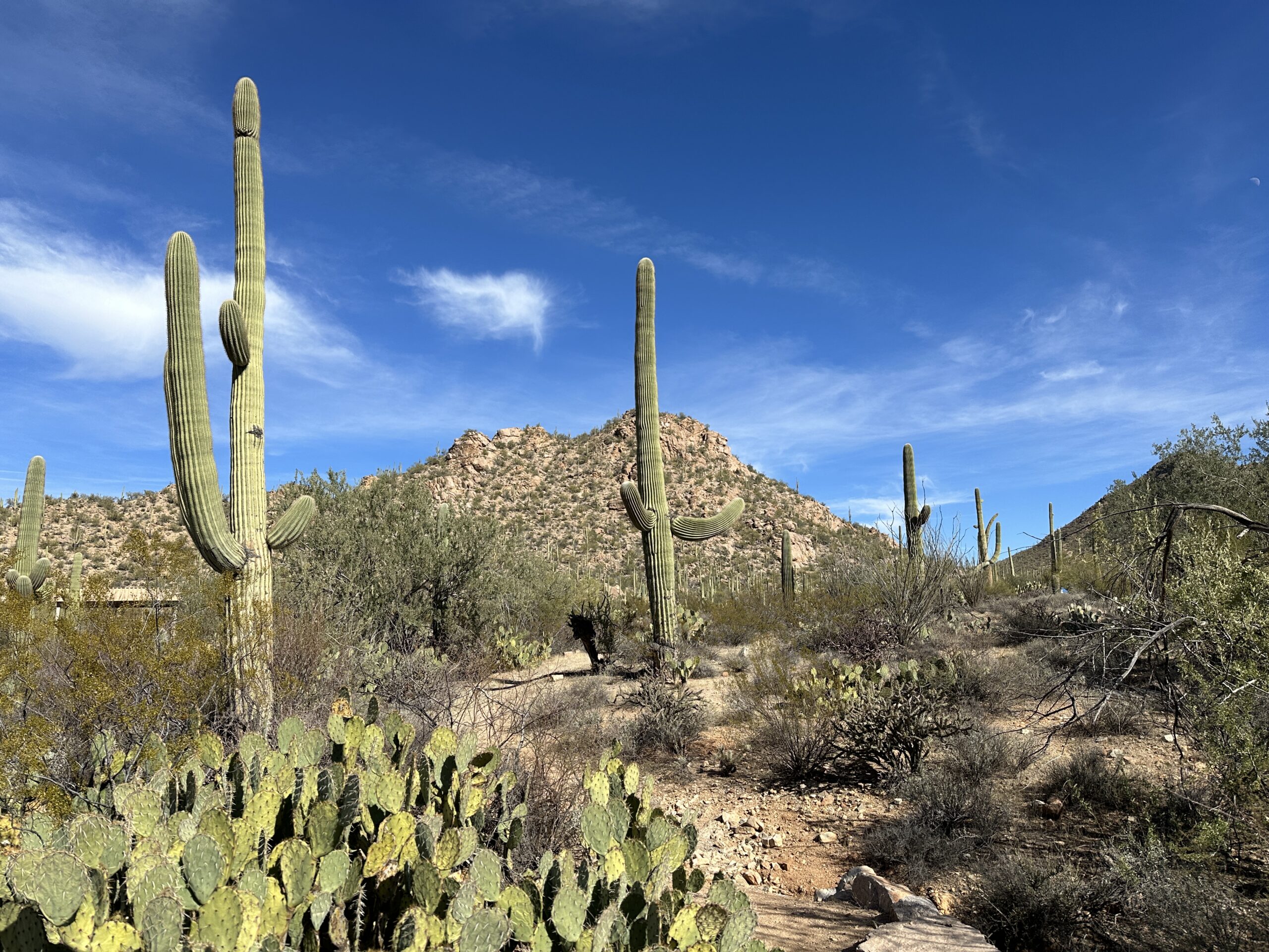 Arizona Travel Destinations - Arizona Towns